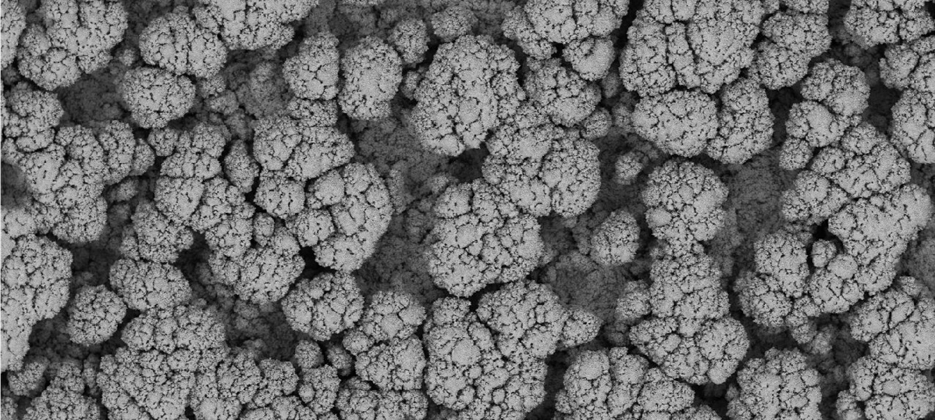 Superhydrophobic Rare-Earth Oxide Coatings - Centre for Advanced ...